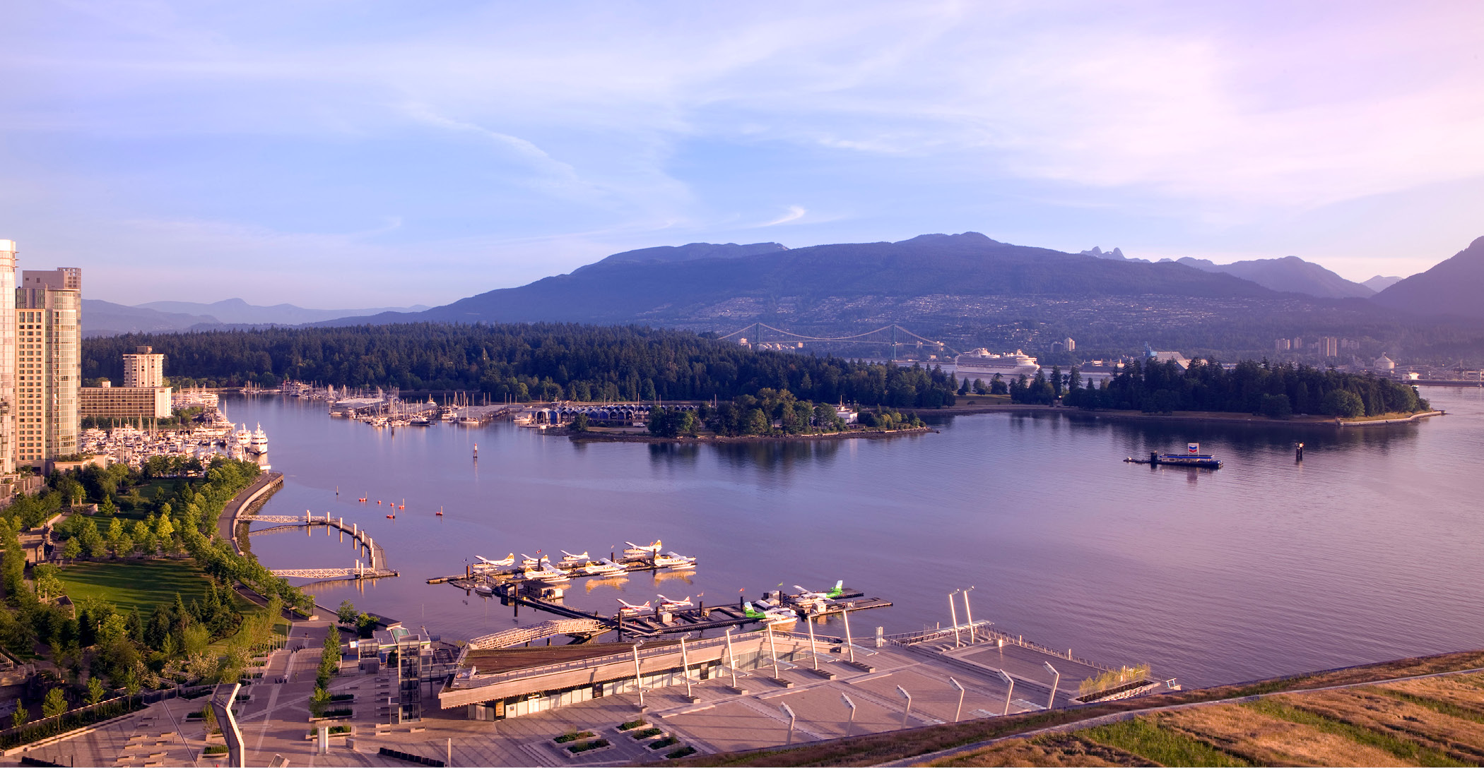 A Pulse of Its Own | Pacific Rim Life